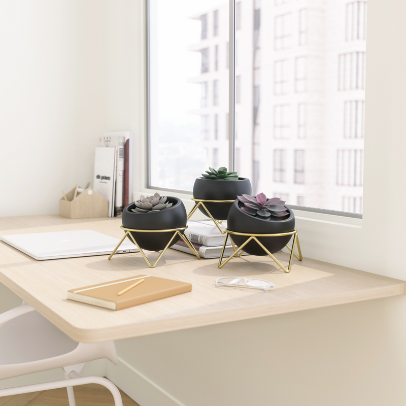 How to Create Peaceful & Productive Work Environments – Umbra