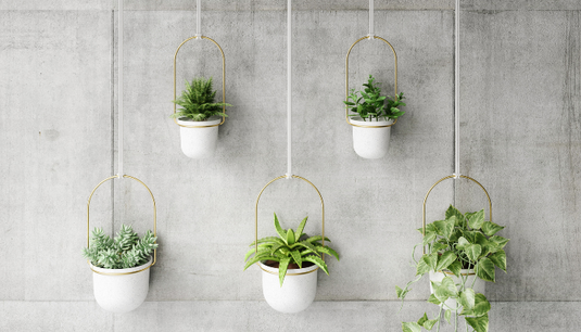 Modern Home Decor & Original Design for Every Room | Umbra