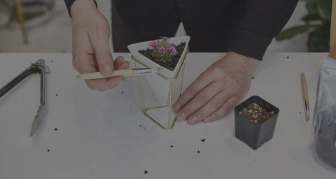 Our Story & 40 Year History of Original Design | Umbra